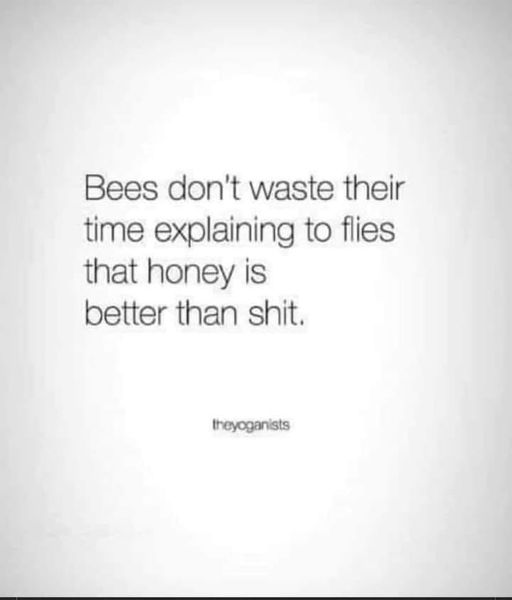 Bees & Flies… – Living Life by Design